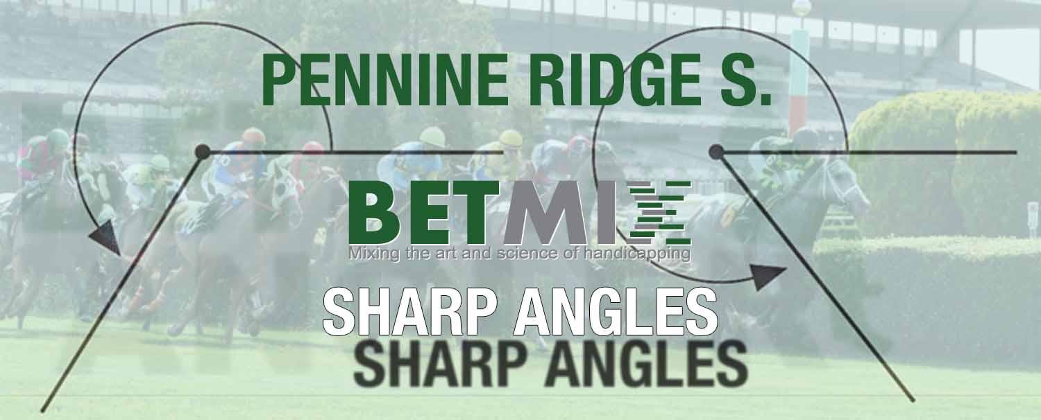 Sharp Angles – Pennine Ridge S. | BETMIX
