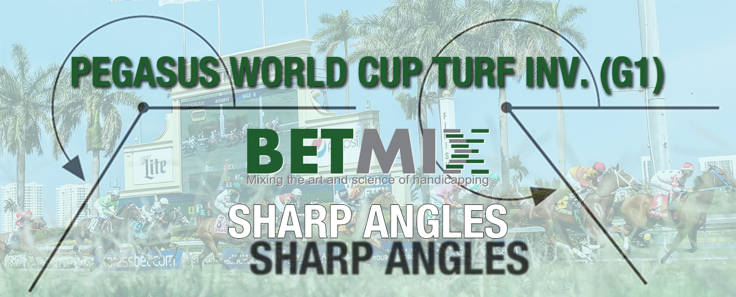 Sharp Angles – Pegasus World Cup Turf | BETMIX