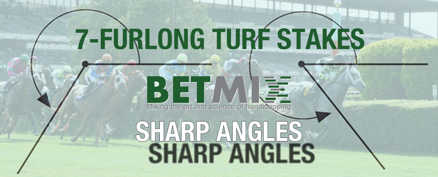 Handicapping Blog | BETMIX