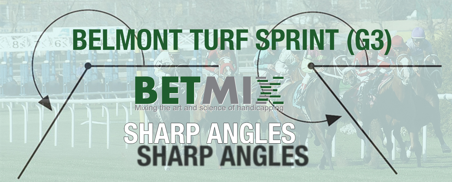 Sharp Angles – Belmont Turf Sprint S. | BETMIX