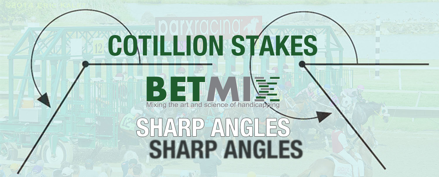 Handicapping Blog | BETMIX